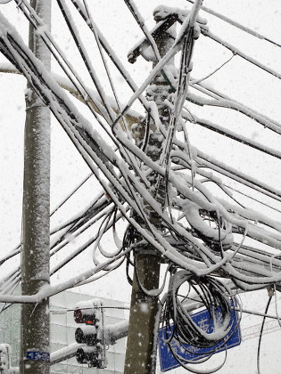 Laden Utility Pole Gains Extra Load Editorial Stock Photo - Stock Image ...
