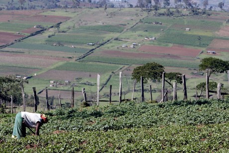 Woman Works On Her Subsistence Farm Editorial Stock Photo - Stock Image ...