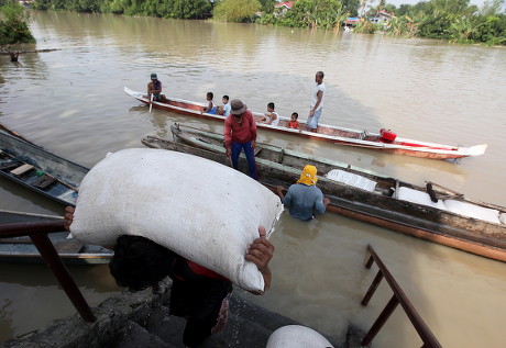 Filipinos Transport Sacks Rice Grains Higher Editorial Stock Photo ...