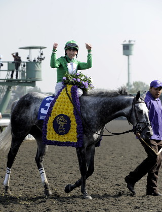 California Flag Jockey Joseph Talamo Aboard Editorial Stock Photo ...
