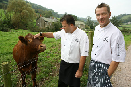 64 Kitchen bull Stock Pictures, Editorial Images and Stock Photos ...