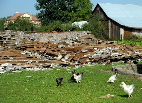 Chicken Walk Around Destroyed Barn After Editorial Stock Photo - Stock ...