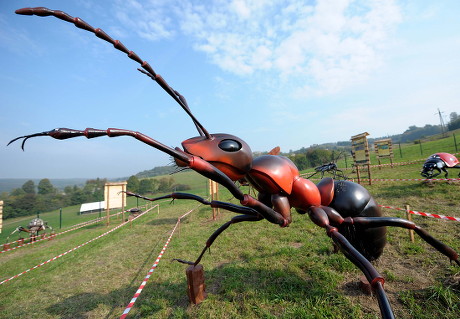 Giant Ant Stands Insects Park Stobierna Editorial Stock Photo - Stock ...