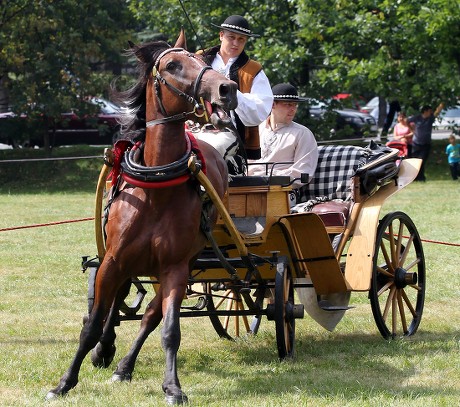 Polish Gorals Highlanders Compete Horsedrawn Carriage Editorial Stock ...