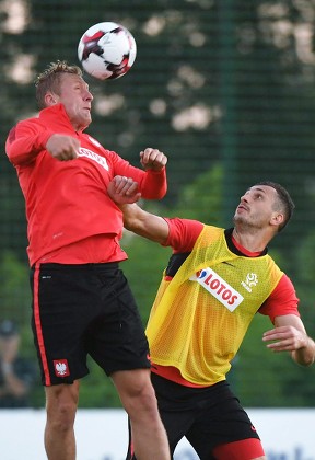 Polish National Football Team Defender Kamil Editorial Stock Photo ...