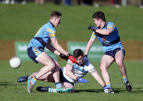 Uuj Vs Ucd Uujs Eoin Mchugh Editorial Stock Photo - Stock Image ...