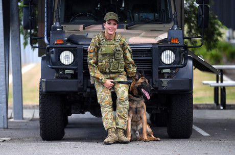 30 Handler trains dog Stock Pictures, Editorial Images and Stock Photos ...