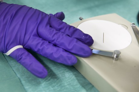 33 Needle attack Stock Pictures, Editorial Images and Stock Photos ...