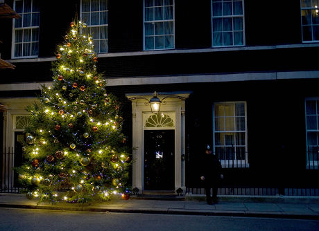 Downing Street Christmas Tree London Britain Editorial Stock Photo ...