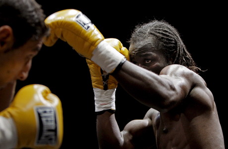 Belgian Sugar Jackson R Fights Gheorghe Editorial Stock Photo - Stock ...
