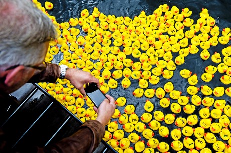 1 500 Rubber Ducks Float On Editorial Stock Photo - Stock Image ...