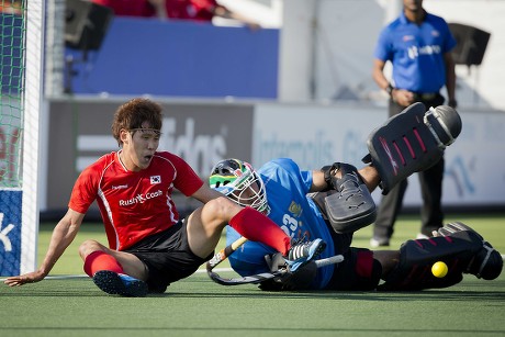 Netherlands Field Hockey World Cup - Jun 2014 Stock Pictures, Editorial ...