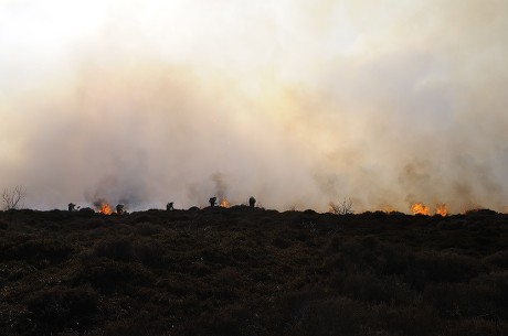 Firemen Fighting Big Fire Sandhills Between Editorial Stock Photo ...