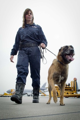 Member Urban Search Rescue Netherlands Usar Editorial Stock Photo ...