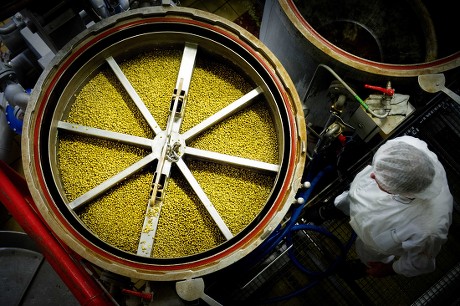 Production Pea Soup Unox Factory Brand Editorial Stock Photo - Stock ...