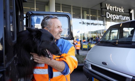Dutch Rescuer Rescue Dog Arrive Schiphol Editorial Stock Photo - Stock ...