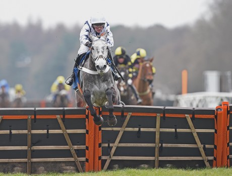 Exeter Races, Horse Racing, Exeter, UK - 12 Feb 2017 Stock Pictures ...