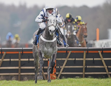 Exeter Races, Horse Racing, Exeter, UK - 12 Feb 2017 Stock Pictures ...