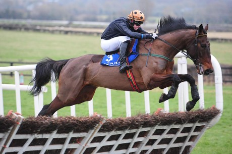 Naas Yaha Fizz Ryan Treacy Win Editorial Stock Photo - Stock Image ...