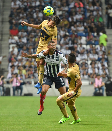 Rayados Monterreys Players Celebrate After Scoring Editorial Stock ...