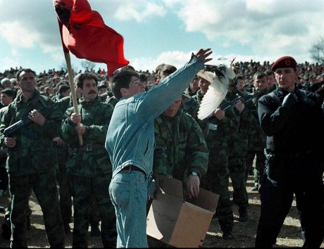 Uper Prekaz Kosovo Yugoslavia White Peace Editorial Stock Photo - Stock ...