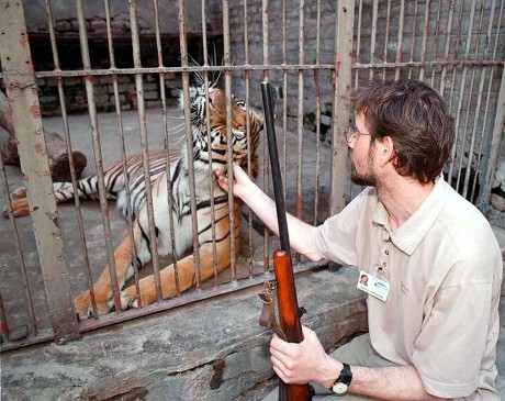 Belgrade Yugoslavia Employee Zoo Belgrade Holds Editorial Stock Photo ...