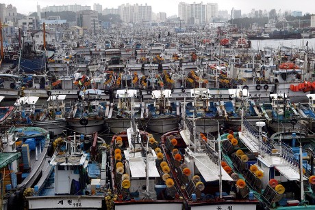 Fishing Vessels Moored Atin Port Pohang Editorial Stock Photo - Stock ...