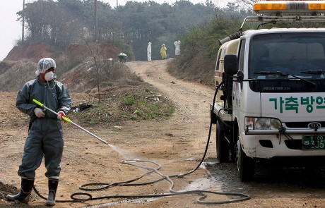 Sanitation Workers Carry Out Operations On Editorial Stock Photo ...