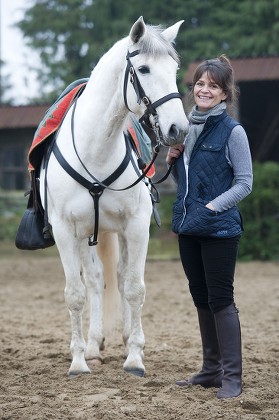Stunt Horse Ziggy Who Played Little Editorial Stock Photo - Stock Image ...