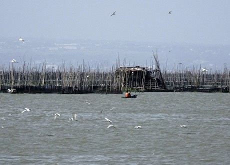 Fish pens and fish cages at Laguna Lake in Binangonan, Rizal Province ...
