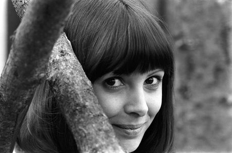 Diane Keen Editorial Stock Photo - Stock Image | Shutterstock
