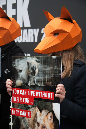 Group Protesters Wearing Animal Masks Stage Editorial Stock Photo ...