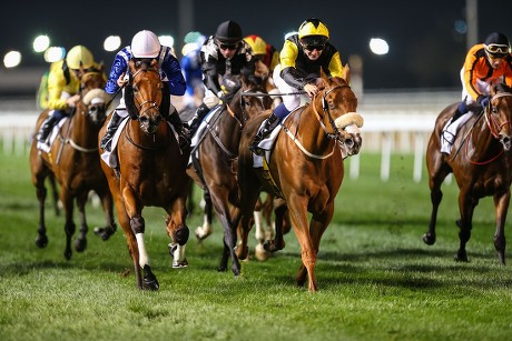 Wins Race Dubai Meydan Race Track Editorial Stock Photo - Stock Image ...