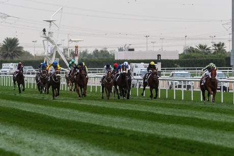 Meydan Horse Racing, Dubai United Arab Emirates - 25 Feb 2017 Stock ...