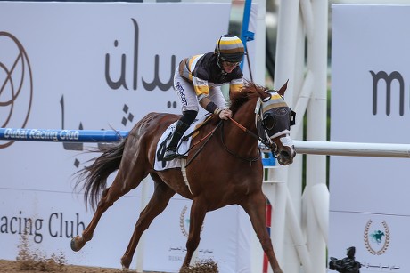 Meydan Horse Racing, Dubai United Arab Emirates - 25 Feb 2017 Stock ...
