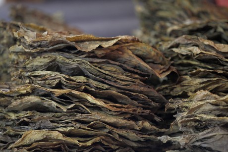 __COUNT__ Greek Handmade Biological Cigars - Sep 2016 Stock Pictures ...