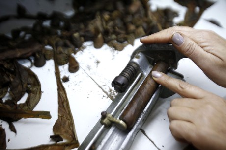 __COUNT__ Greek Handmade Biological Cigars - Sep 2016 Stock Pictures ...