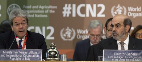Icn2: 2nd International Conference On Nutrition - Nov 2014 Stock ...