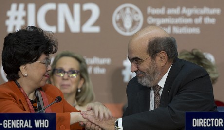 Icn2: 2nd International Conference On Nutrition - Nov 2014 Stock ...