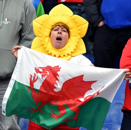 Welsh Supporters During Six Nations Rugby Editorial Stock Photo - Stock ...