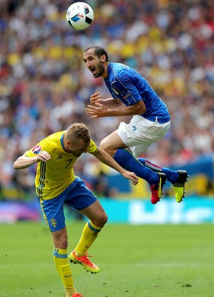 Eder Italy Celebrates Scoring 10 During Editorial Stock Photo - Stock ...
