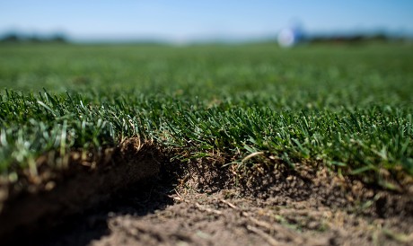 Closeup Sports Turf On Field Turf Editorial Stock Photo - Stock Image ...