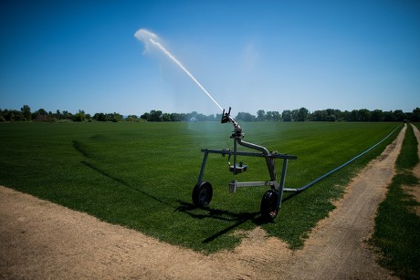 Sprinklers Water Sports Turf Field Turf Editorial Stock Photo - Stock ...