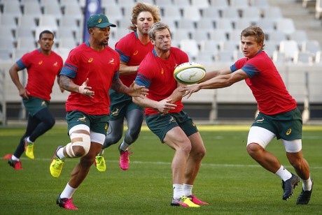 __COUNT__ South Africa Rugby Union Springbok Training - Jun 2016 Stock ...