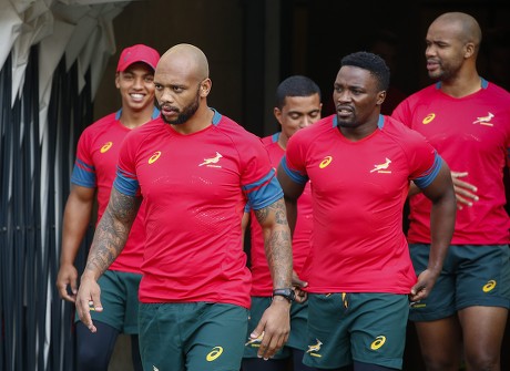 South African National Rugby Union Coach Editorial Stock Photo - Stock ...