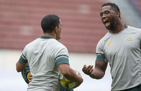 South African National Rugby Union Players Editorial Stock Photo ...
