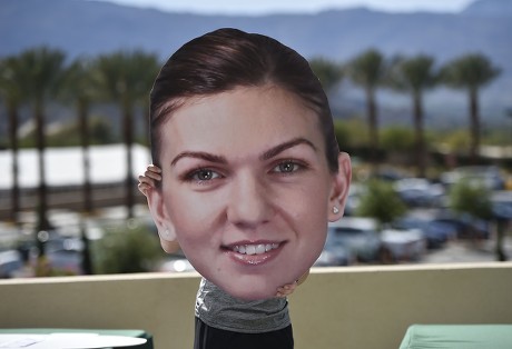 19 Fathead Stock Pictures, Editorial Images and Stock Photos | Shutterstock
