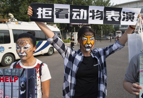 Chinese Protester Painted Face Holds Sign Editorial Stock Photo - Stock ...