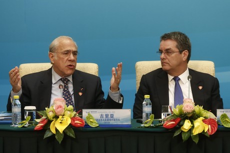Organization Economic Cooperation Development Oecd Secretarygeneral ...