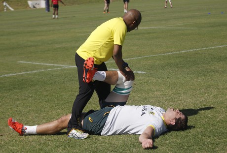 Springbok Player Willem Alberts Receives Treatment Editorial Stock ...